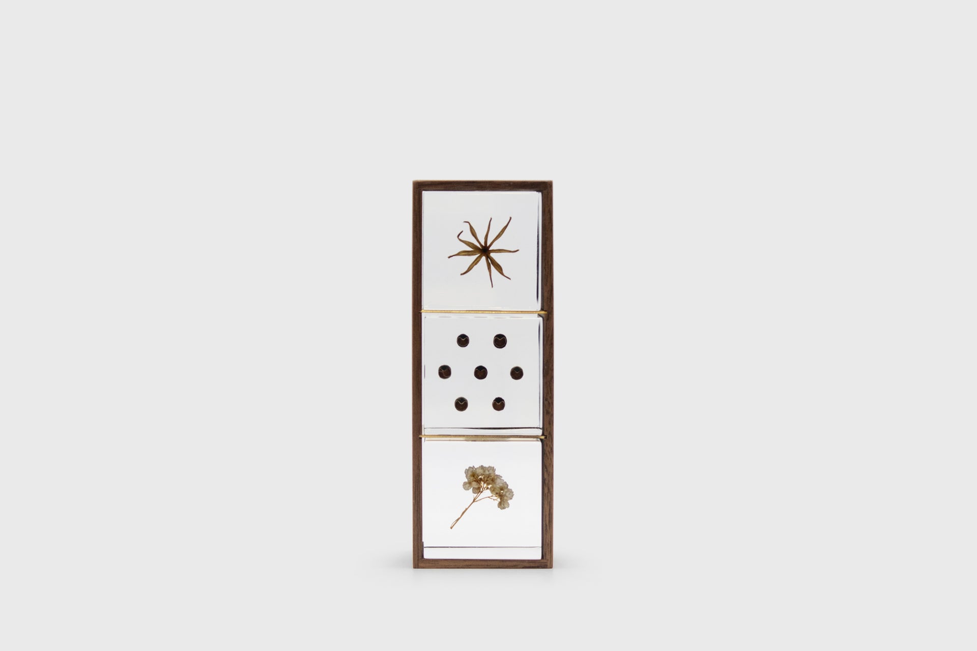 Sola Cube Display Case | BindleStore.